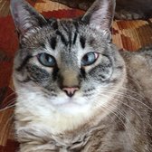 VELOCITY AUTO SALES - Updated January 2026 - 11 Photos & 116 Reviews ...