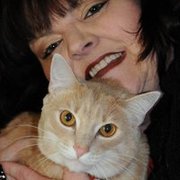 WALTERS MANAGEMENT - Updated December 2025 - 81 Reviews - 25109 ...