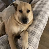 BESCO AIR INC. HEATING & COOLING - Updated December 2025 - 26 Photos ...