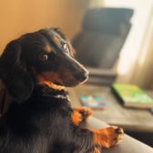 THE ICE RANCH - Updated September 2025 - 12 Photos & 18 Reviews - 841 ...