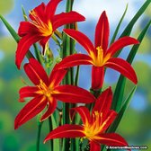 TARGET - Updated December 2025 - 91 Photos & 91 Reviews - 400 ...