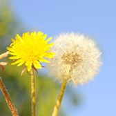 THE ANTEATERY - Updated November 2025 - 118 Photos & 40 Reviews - 4001 ...