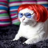 ERENTERPLAN - Updated August 2025 - 329 Reviews - 38 Executive Park ...