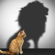 RL LIQUIDATORS - Updated December 2025 - 20 Photos & 89 Reviews - 221 ...