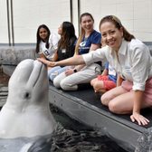 MS RAU - Updated July 2025 - 173 Photos & 48 Reviews - 622 Royal St ...