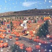 IRA VIDOR, MD - Updated January 2026 - 13 Photos & 42 Reviews - 366 San ...