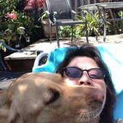 TIN HOW TEMPLE - 30 Photos & 30 Reviews - Buddhist Temples - 125 ...