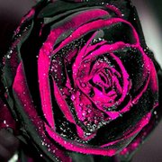 WALMART SUPERCENTER - Updated January 2026 - 35 Photos & 48 Reviews ...