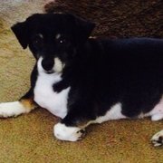 AMC OTAY RANCH 12 - Updated December 2025 - 799 Photos & 202 Reviews ...