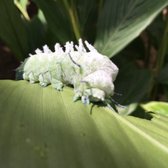 PROLIFIC BUTCHER SHOP - Updated July 2025 - 42 Photos & 70 Reviews ...