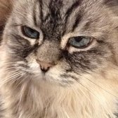 WHITE HOUSE CHICKEN - 25 Photos & 51 Reviews - 180 Wooster Rd N ...