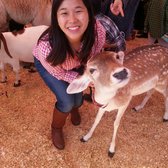 SKATE CHAMPIONS - Updated September 2025 - 84 Photos & 108 Reviews ...