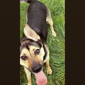 BROOKS BIDDLE AUTOMOTIVE - Updated December 2025 - 11 Photos & 87 ...