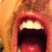 MAGIC BOX HOBBIES - 26 Photos & 27 Reviews - 2105 37th Avenue W ...