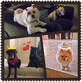 THE CUT - 30 Photos & 38 Reviews - 66 The Cut, London, United Kingdom ...