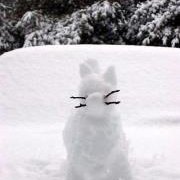 SENTARA - Updated April 2025 - 53 Reviews - 12825 Minnieville Rd, Lake ...