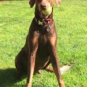 TARGET - Updated December 2025 - 53 Photos & 93 Reviews - 7845 N ...