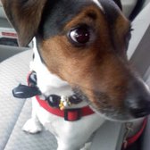 FLAMING BUFFET - Updated August 2025 - 188 Photos & 118 Reviews - 5440 ...