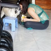 SANDY M FUNG, MD - 71 Reviews - 17 Elizabeth St, New York, NY - Yelp