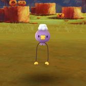 PRODUCE JUNCTION - Updated January 2026 - 46 Photos & 33 Verified ...