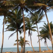 MCKINDSEY FRANCES, MD - 35 Reviews - Obstetricians & Gynecologists ...