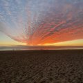 OXNARD BEACH PARK - 236 Photos & 65 Reviews - 4800-5098 Beach Way ...