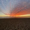 OXNARD BEACH PARK - 236 Photos & 65 Reviews - 4800-5098 Beach Way ...