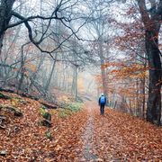 THE TAPP ROOM - Updated August 2025 - 29 Photos & 56 Reviews - 421 ...