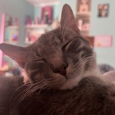 SCRAP RVA - Updated October 2025 - 10 Reviews - 322 W Brookland Park ...