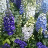 POLIBERTOS 3 - Updated January 2026 - 13 Photos & 11 Reviews - 5052 ...