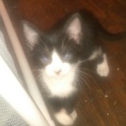 ATROX FACTORY - 17 Photos & 17 Reviews - Nightlife - 8404 Parkway Dr SE ...