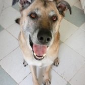 FITZGERALD AUTO MALL - Updated January 2026 - 72 Reviews - 10915 ...