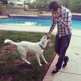 NIKE BOSTON - Updated December 2025 - 61 Photos & 93 Reviews - 200 ...