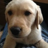 AP INTEGO INSURANCE GROUP - Updated December 2025 - 46 Reviews - 375 ...