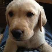 AP INTEGO INSURANCE GROUP - Updated December 2025 - 46 Reviews - 375 ...