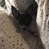 MDI ROCK - Updated December 2025 - 18 Photos & 42 Reviews - 2815 E Rose ...