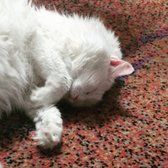 EPIC SPICES - Updated August 2025 - 18 Photos & 107 Reviews - 1725 W ...