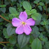 MALAMA IMAGING - Updated December 2025 - 41 Reviews - 1401 S Beretania ...