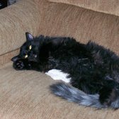 MAJOR MARKET - Updated December 2025 - 36 Photos & 83 Reviews - 845 S ...