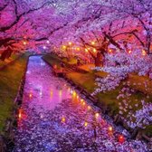 BURLINGTON SUBARU - Updated November 2025 - 11 Photos & 67 Reviews ...