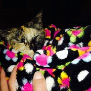 GI EXCELLENCE - Updated December 2025 - 77 Reviews - 1003 E Florida Ave ...