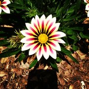 ALL ABOUT YOU - 109 Photos & 172 Reviews - Nail Salons - 7301 Burnet Rd ...