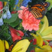 PEARL AVENUE BRANCH LIBRARY - 18 Photos & 30 Reviews - Libraries - 4270 ...