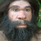 DAEDALUS BOOKS - Updated January 2026 - 15 Photos & 20 Reviews - 2074 ...