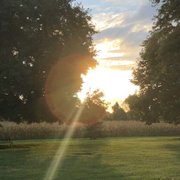 EMPIRE NISSAN OF BAY RIDGE - Updated December 2025 - 120 Photos & 474 ...