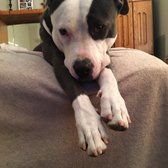 TARGET - Updated August 2025 - 110 Photos & 137 Reviews - 2907 Cochran ...