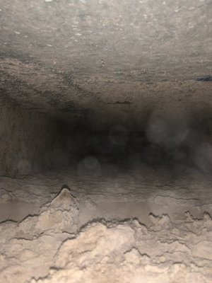 DUCT DUSTERS - Updated December 2025 - 11 Photos - 1700 West Jackson St ...