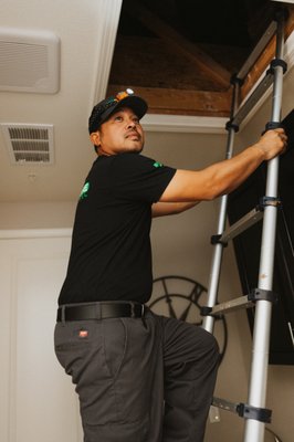 PRO ACTIVE PEST CONTROL - Updated November 2025 - 25 Photos & 52 ...