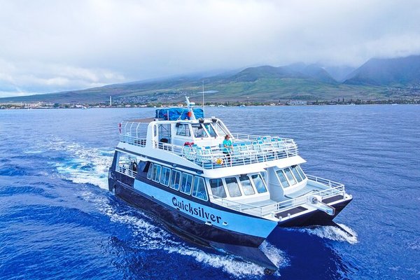 MALOLO CHARTERS - Updated April 2026 - 123 Photos & 132 Reviews - 300 ...