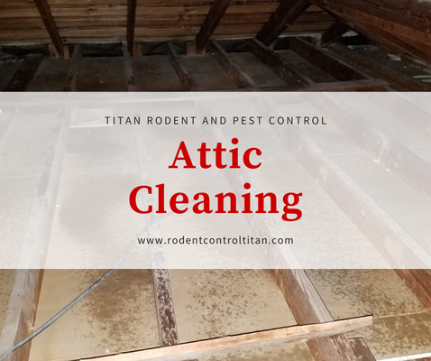 TITAN INSULATION - Updated October 2025 - 64 Photos & 97 Reviews - 155 ...